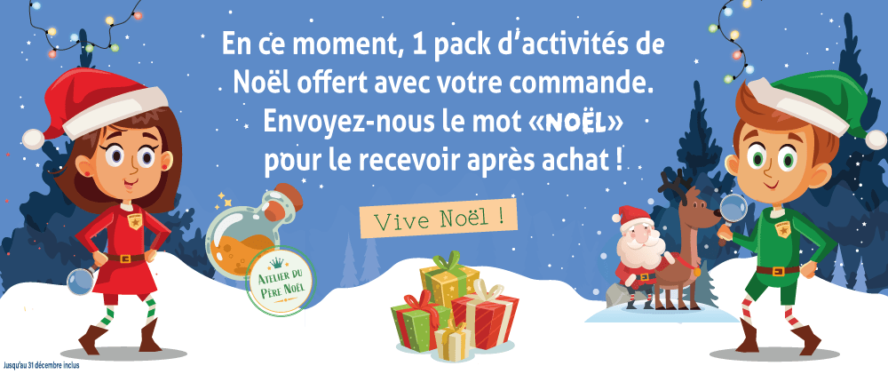 Kit d’Activités de Noël Ludique Offert avec votre Commande